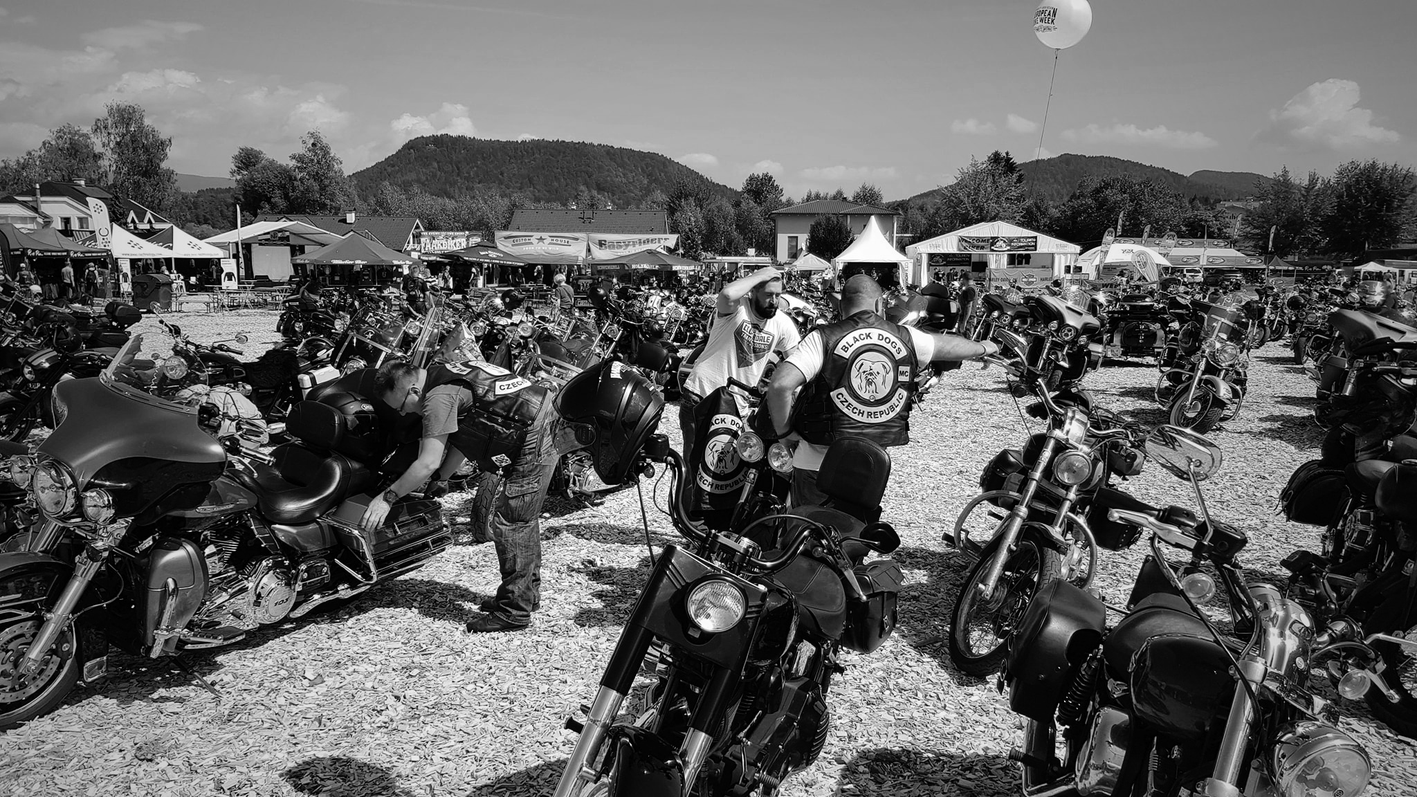 Photo gallery | BLACK DOGS LE MC